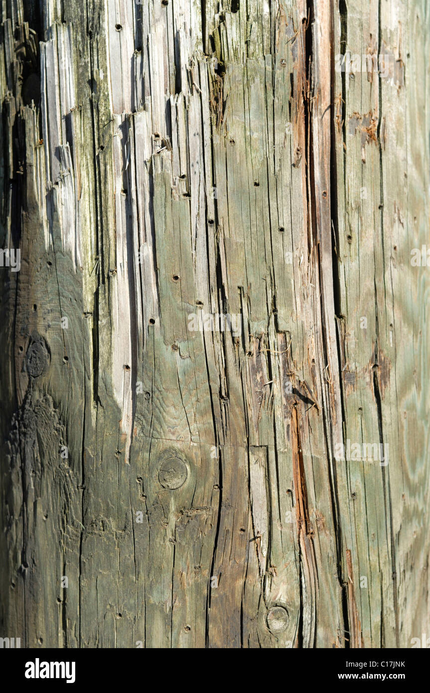 Pieu de bois Banque de photographies et d’images à haute résolution - Alamy