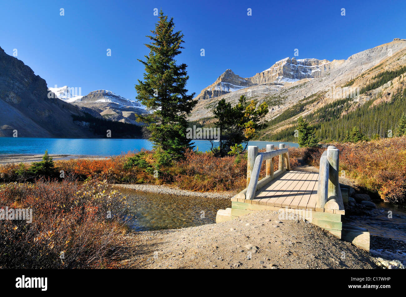 Bow lake Banque de photographies et d’images à haute résolution - Alamy