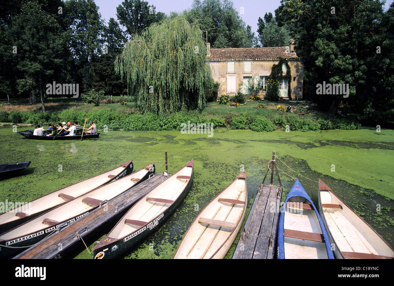 Marais poitevin regional park Banque de photographies et d’images à ...