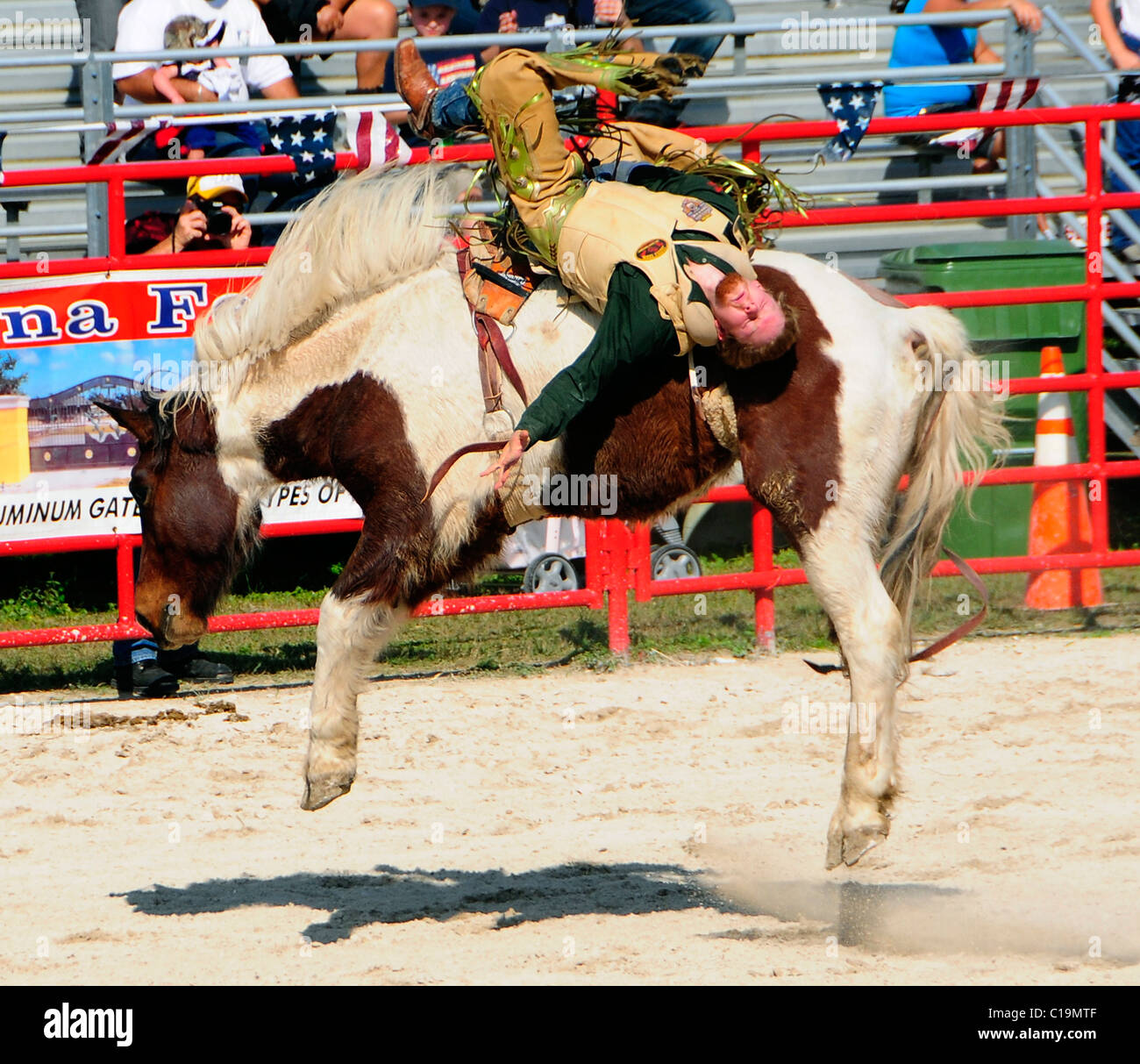 Rodeo rider Banque de photographies et d’images à haute résolution - Alamy