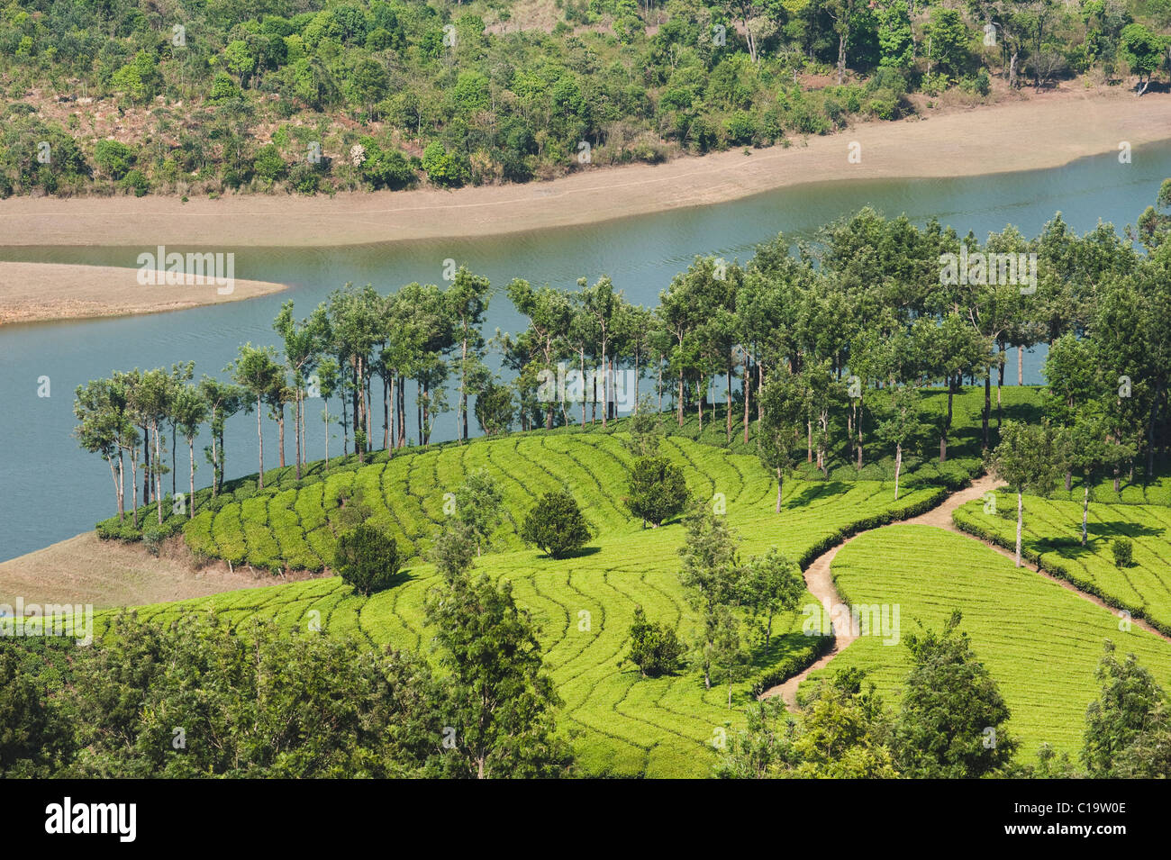 Inde inde kerala munnar Banque de photographies et d’images à haute ...