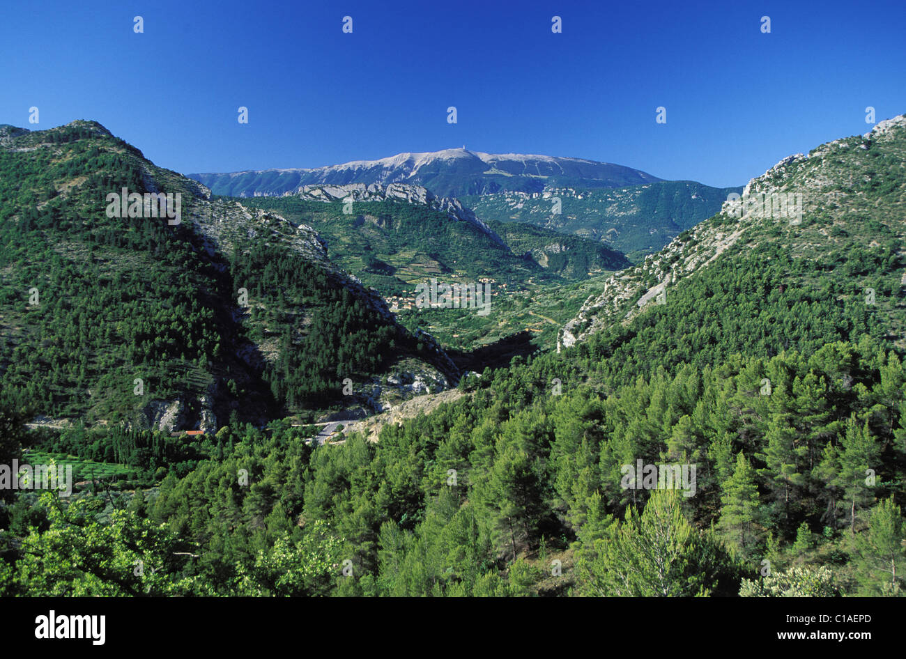 France, Drôme, Buis les Baronnies et le mont Ventoux Photo Stock - Alamy