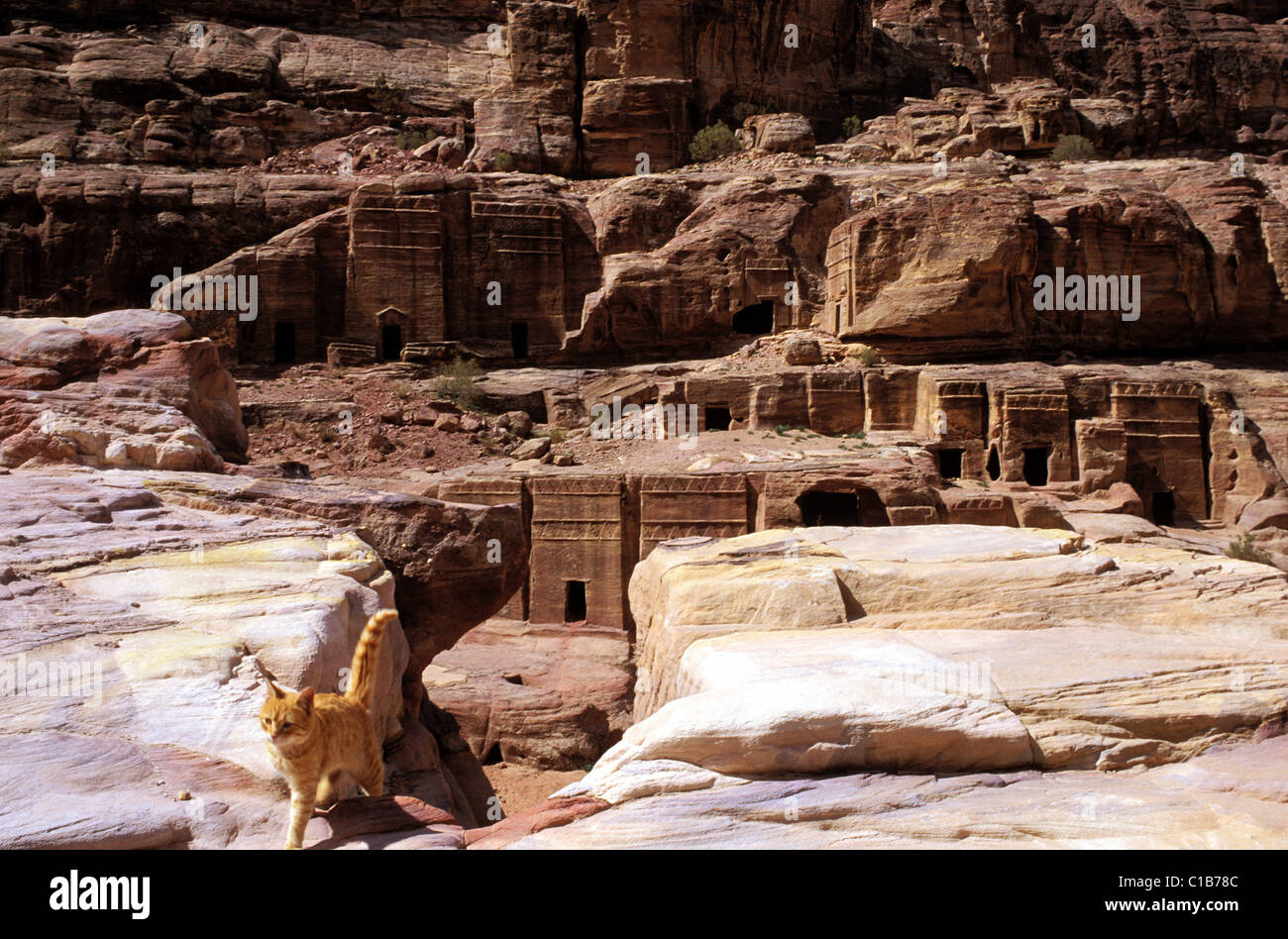 La Jordanie, Pétra, la rue des façades dans la vallée de Wadi Mousa ...