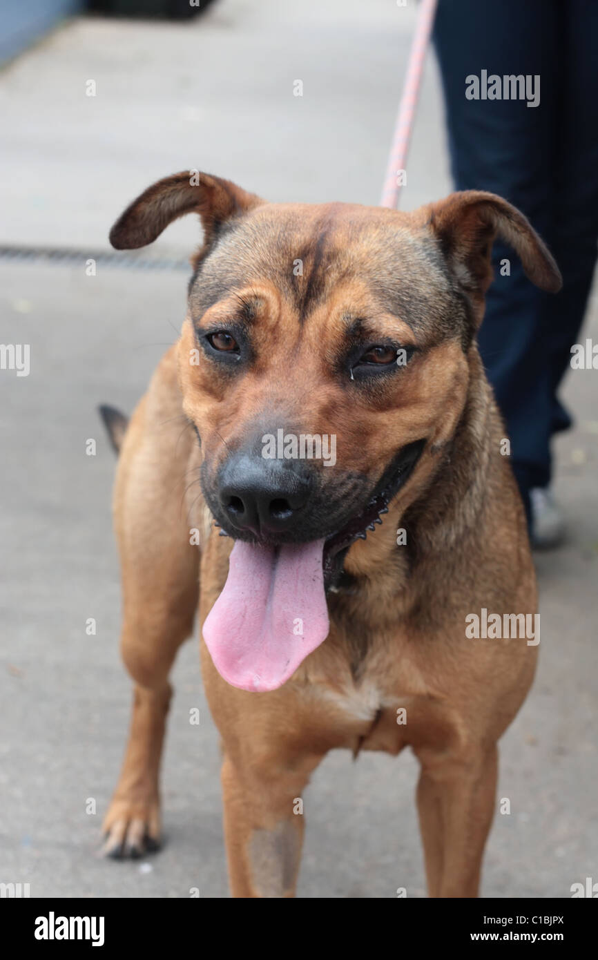 Louer sur Banque de photographies et d’images à haute résolution - Alamy