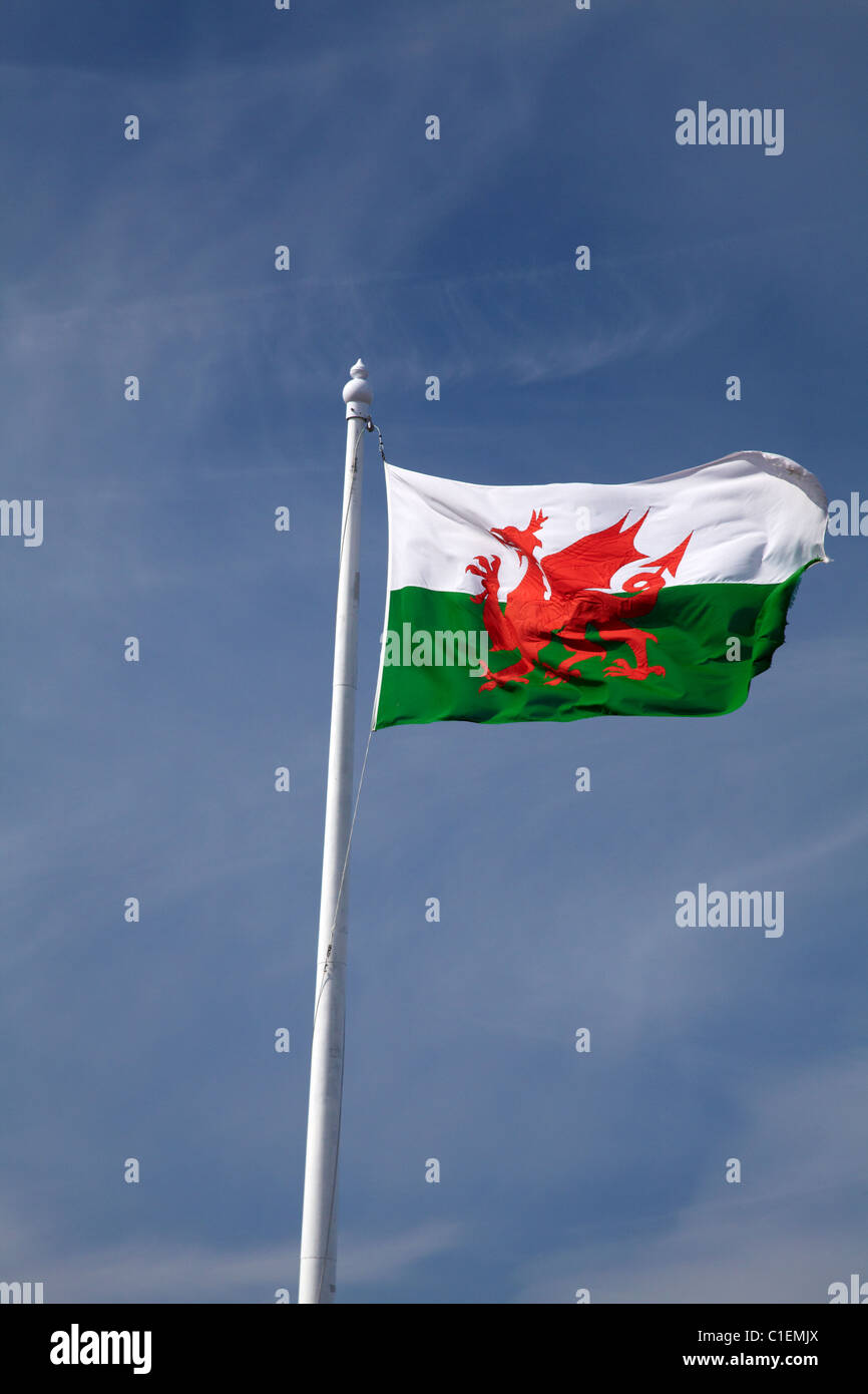 Flag wales welsh dragon flags Banque de photographies et d’images à ...