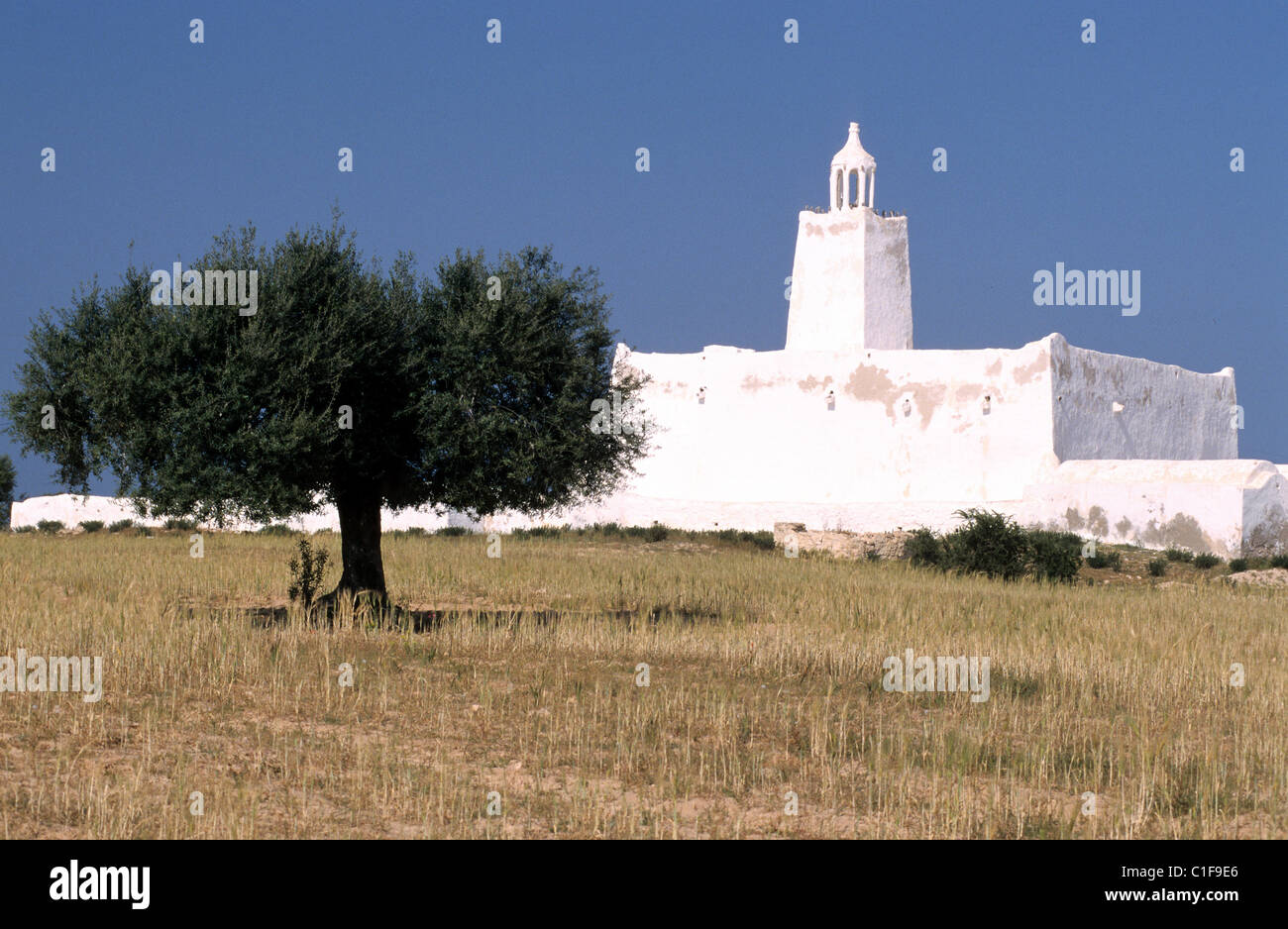 Tunisia djerba mosque religion Banque de photographies et d’images à ...