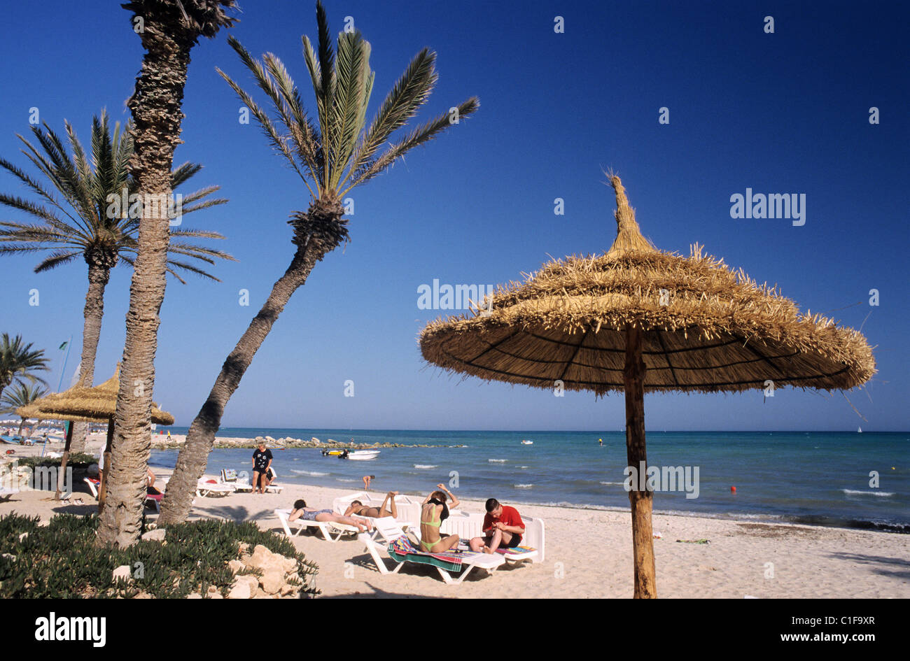 La Tunisie, l'île de Djerba, La Seguia beach Photo Stock - Alamy