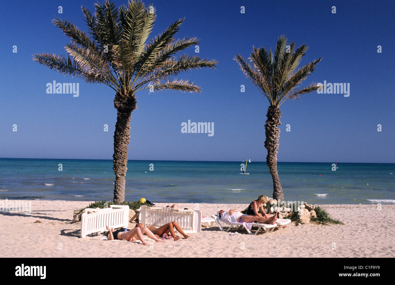La Tunisie, l'île de Djerba, La Seguia beach Photo Stock - Alamy