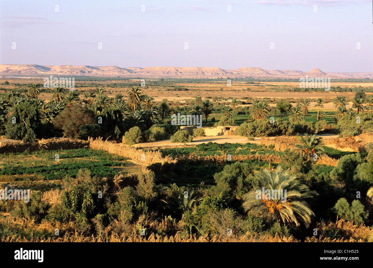 Oasis de bahariya Banque de photographies et d’images à haute ...
