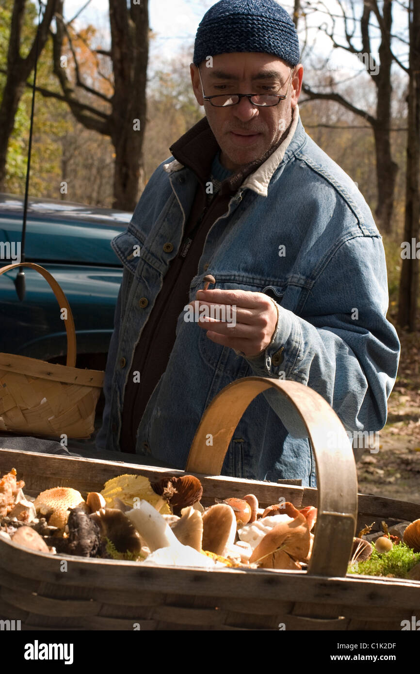 Identifier les champignons Banque de photographies et d’images à haute ...