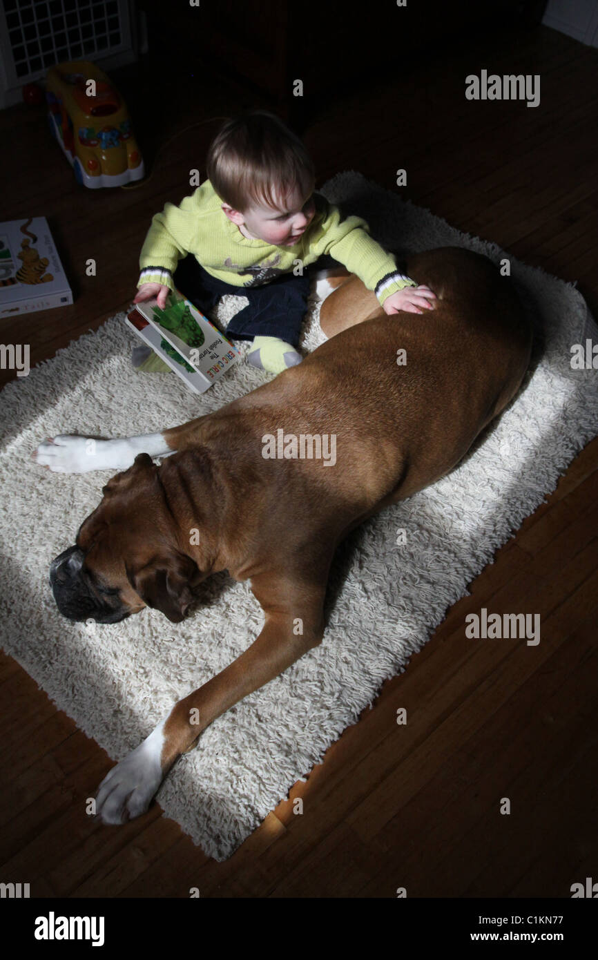 Petit Enfant Grand Chien Banque d'image et photos - Alamy