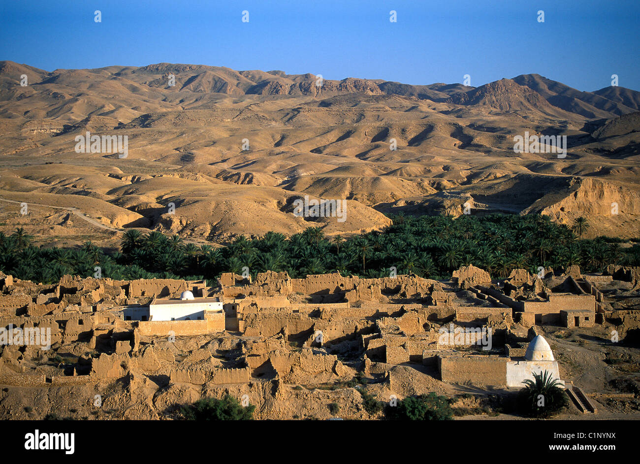 Tamerza oasis de montagne Banque de photographies et d’images à haute ...