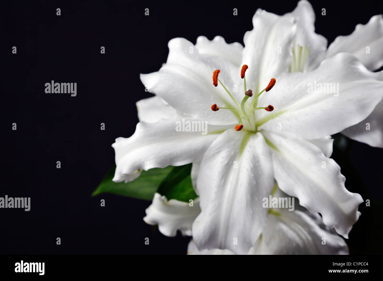 Uni noir et blanc Banque de photographies et d’images à haute ...