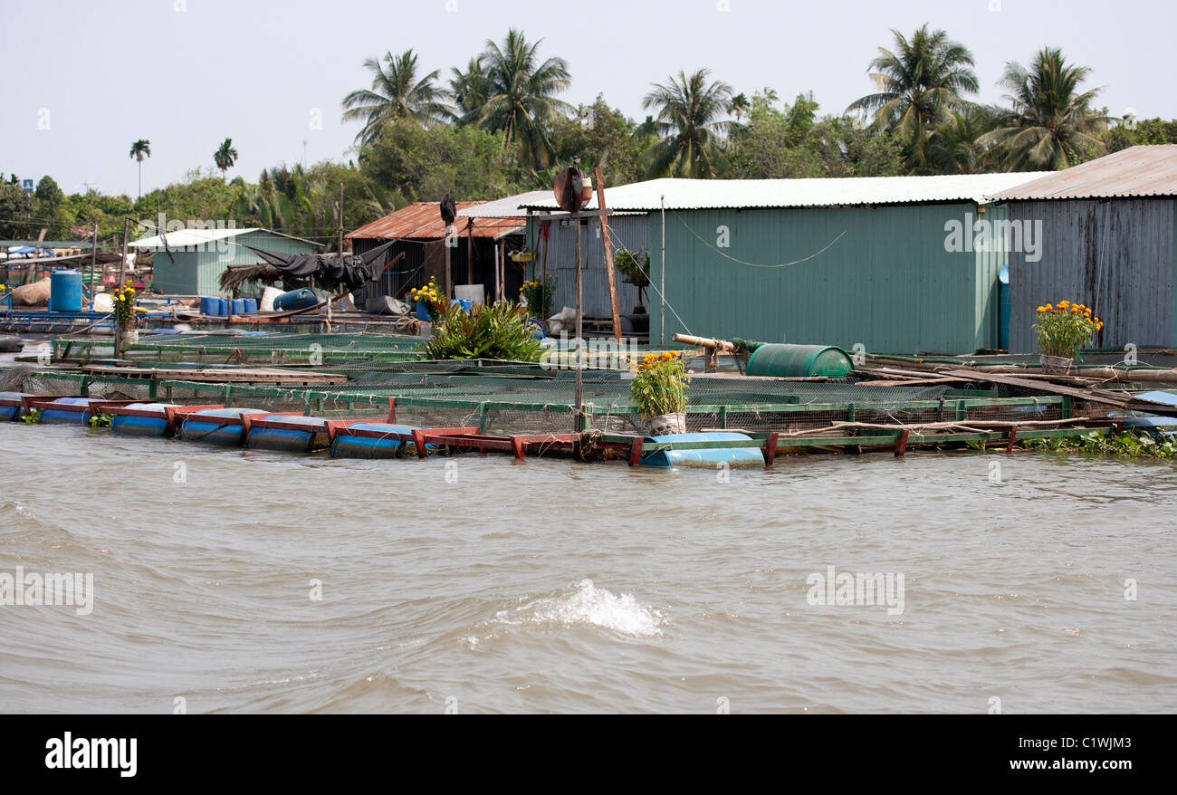 Fish farm vietnam Banque de photographies et d’images à haute ...
