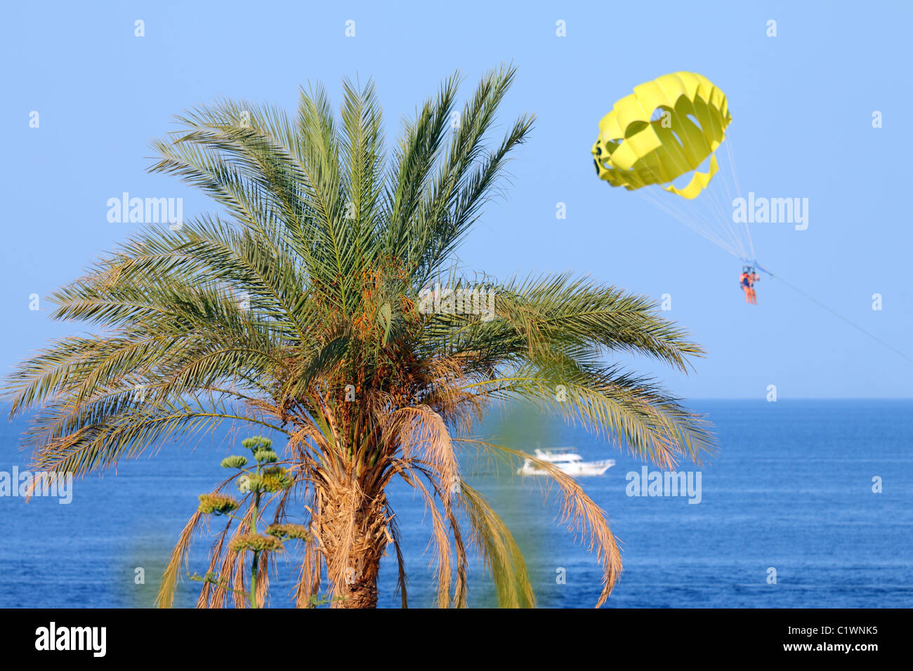 Parachute parasailing Banque de photographies et d’images à haute ...