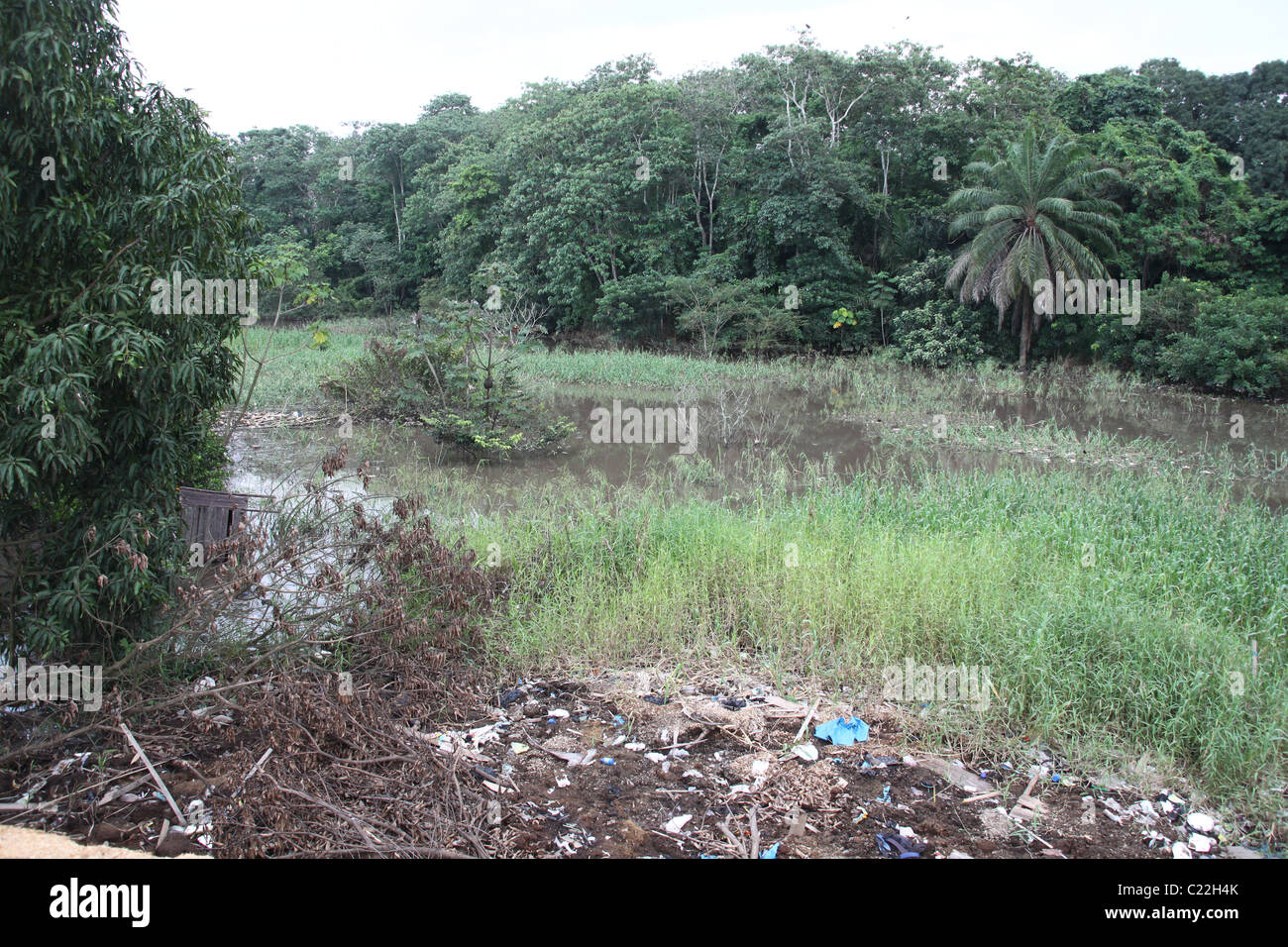The amazon river pollution Banque de photographies et d’images à haute ...