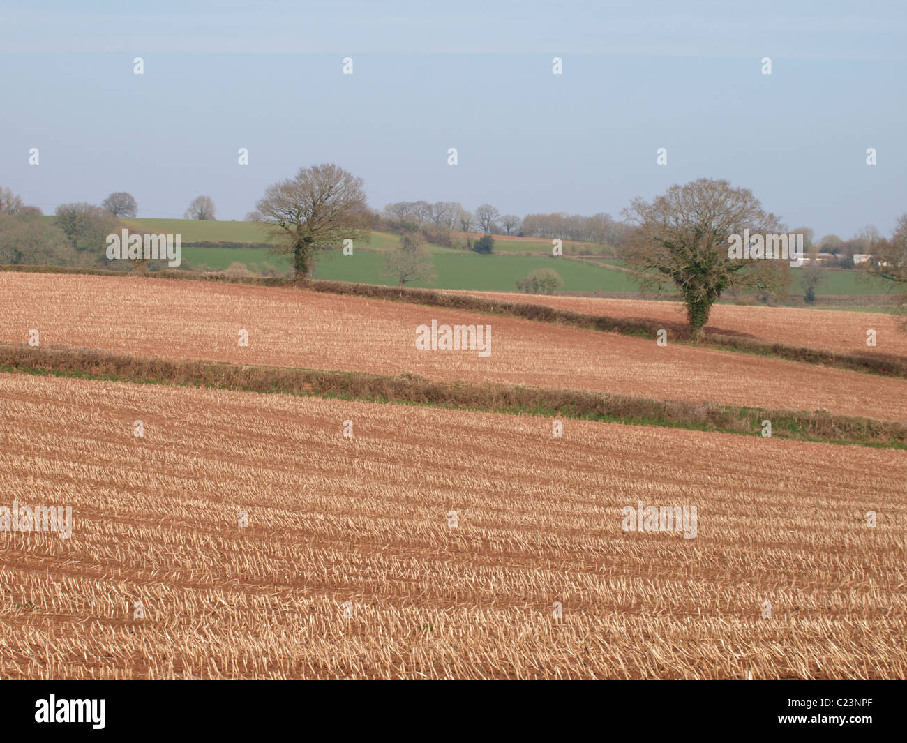 Champs de chaume Banque de photographies et d’images à haute résolution ...