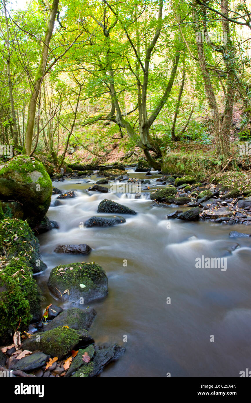 Le goit Banque de photographies et d’images à haute résolution - Alamy