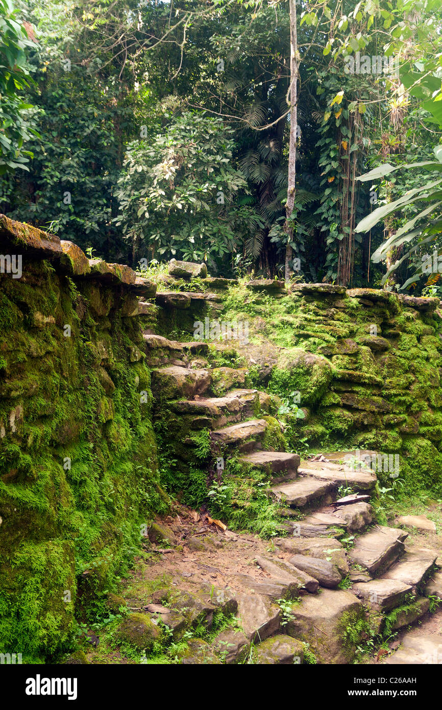 Ciudad Perdida, cité perdue en Colombie, la Sierra Nevada de Santa ...