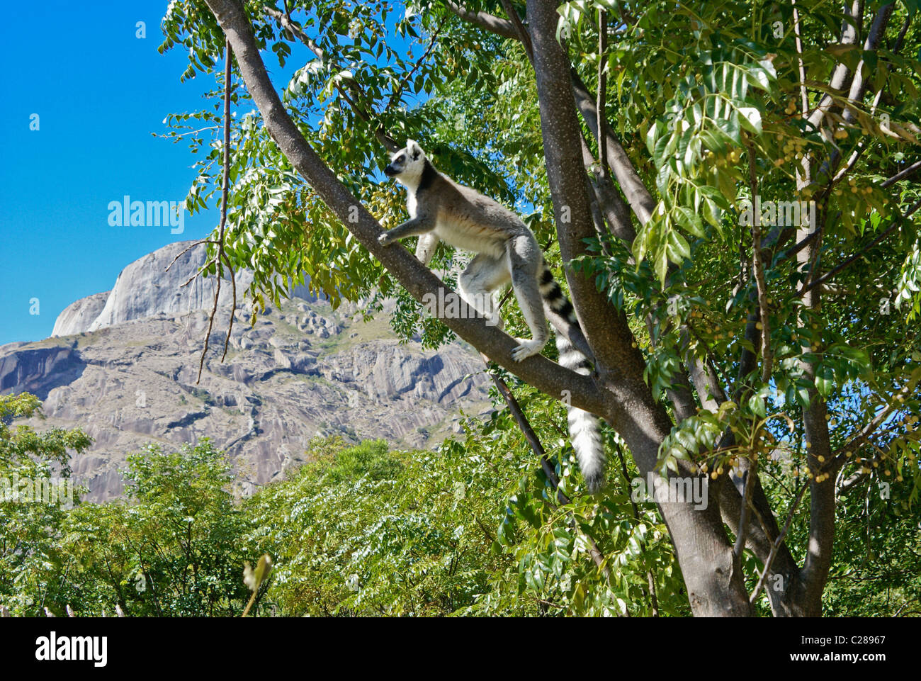 Anja park Banque de photographies et d’images à haute résolution - Alamy
