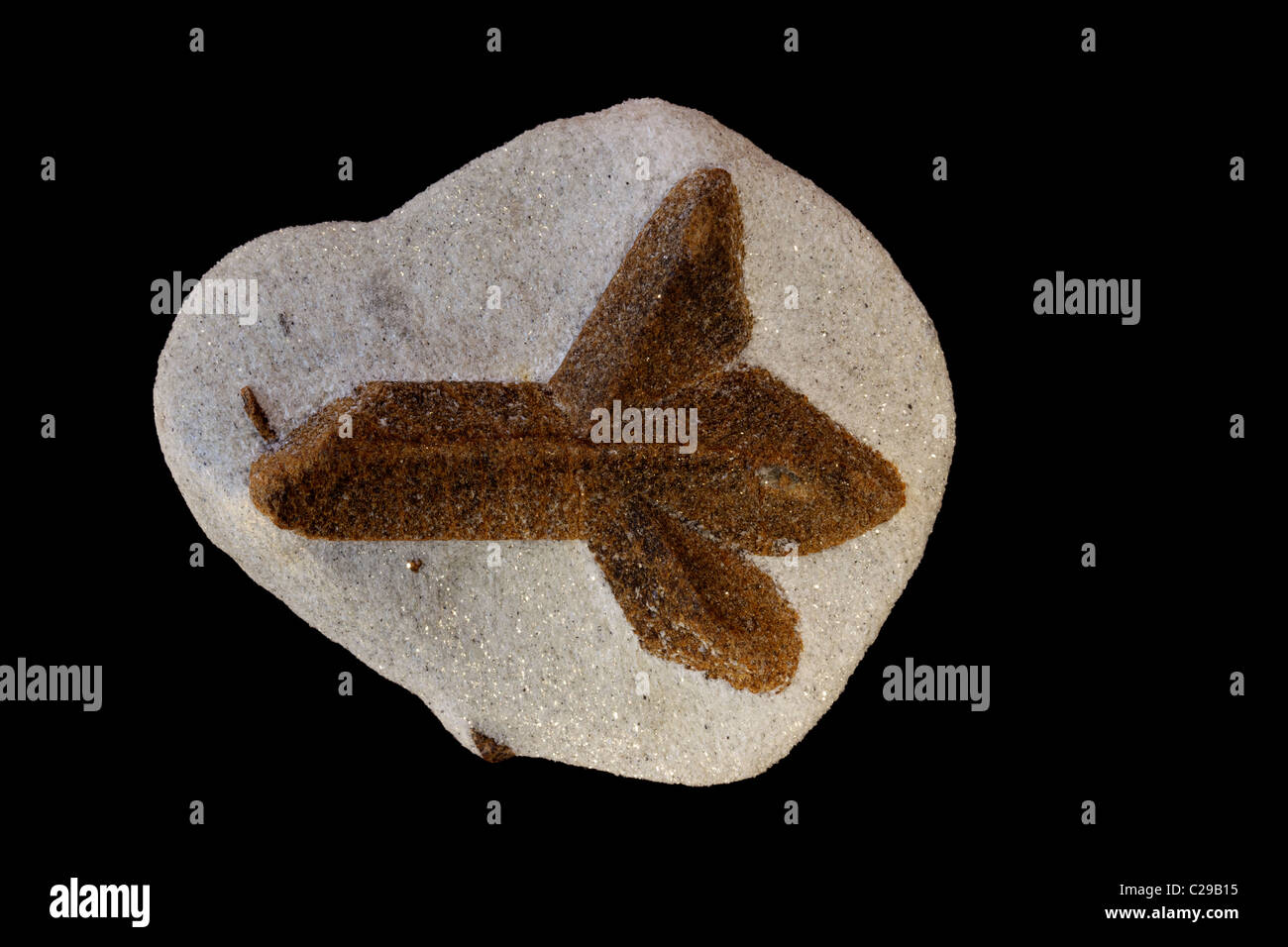 Hydroxyde de fer Banque de photographies et d’images à haute résolution ...