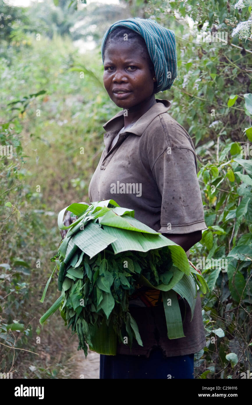 Betou republic of congo Banque de photographies et d’images à haute ...