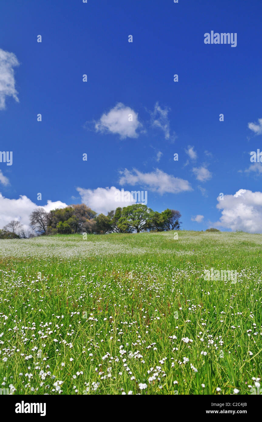 Jour De Printemps Banque d'image et photos - Alamy