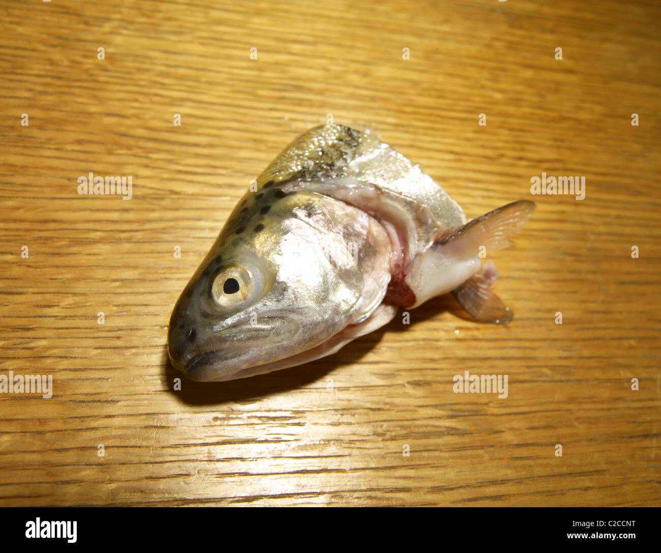 Gaspillage des stocks de poisson Banque de photographies et d’images à ...