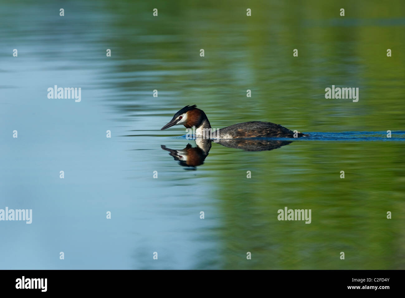 Lago di viverone Banque de photographies et d’images à haute résolution ...