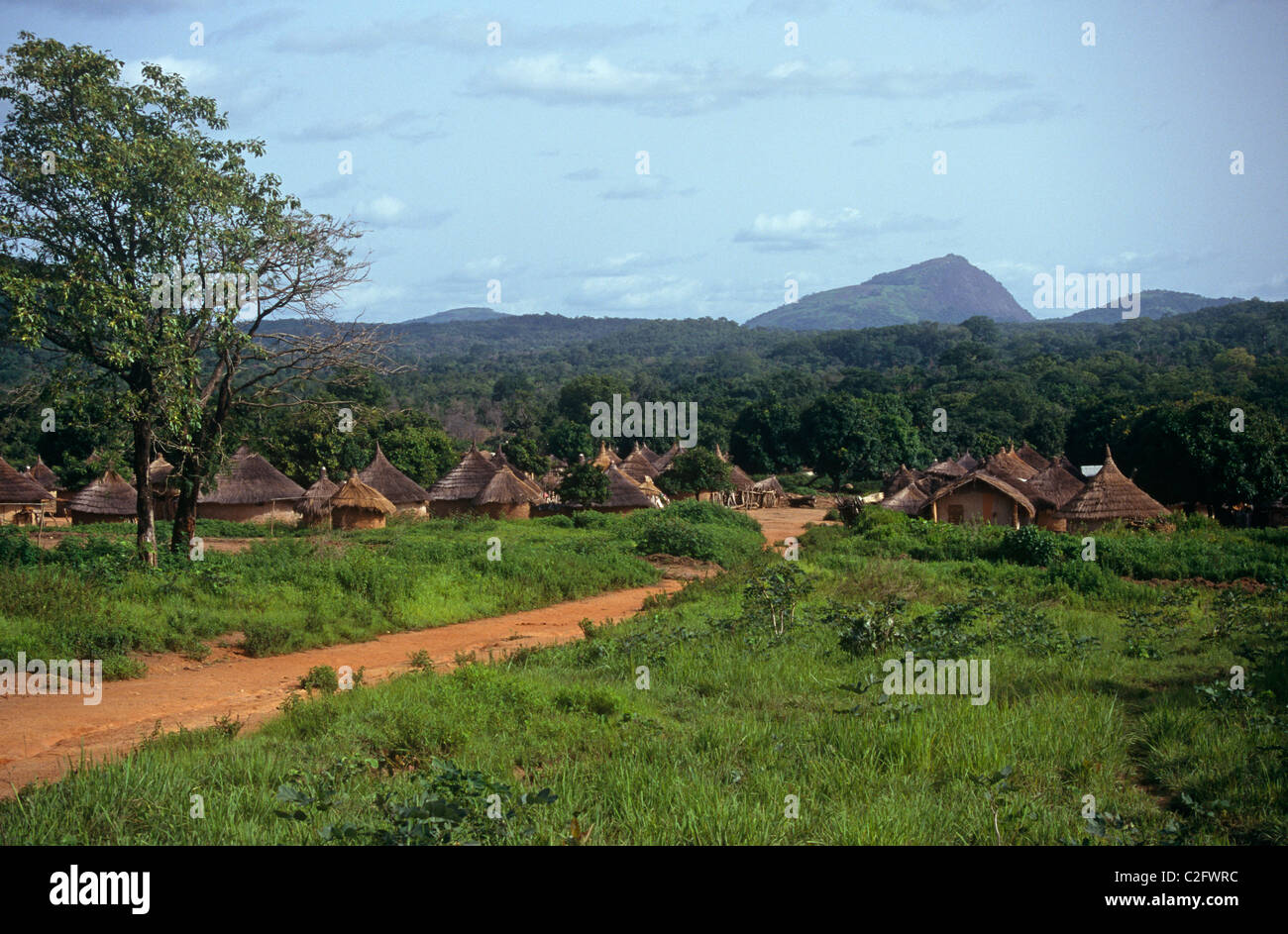 Sénoufo Banque d'image et photos - Alamy