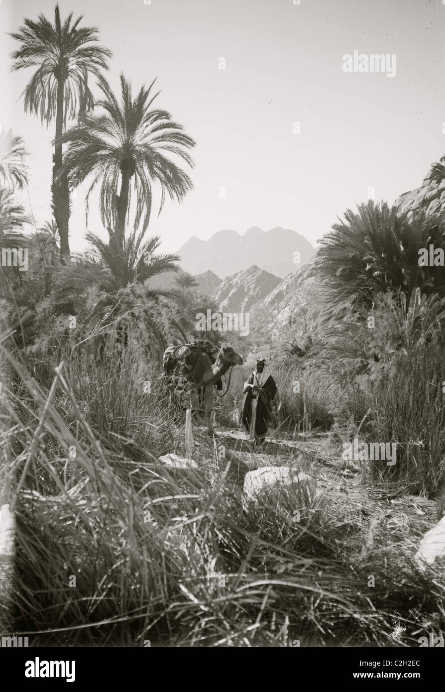 Jebel serbal Banque de photographies et d’images à haute résolution - Alamy