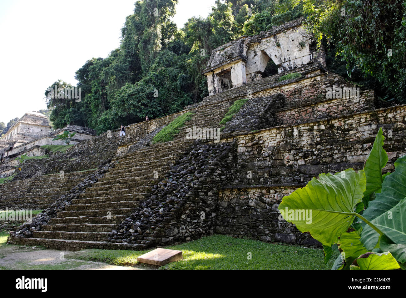 Ruines palenque Banque de photographies et d’images à haute résolution - Alamy