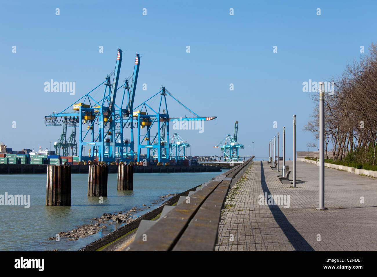 Container port zeebrugge belgium Banque de photographies et d’images à ...