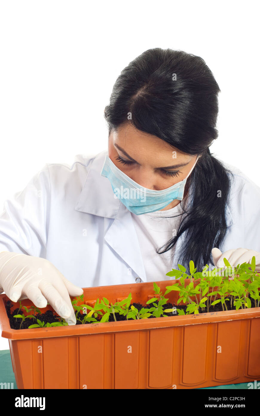 Chercheur agricole Banque de photographies et d’images à haute ...