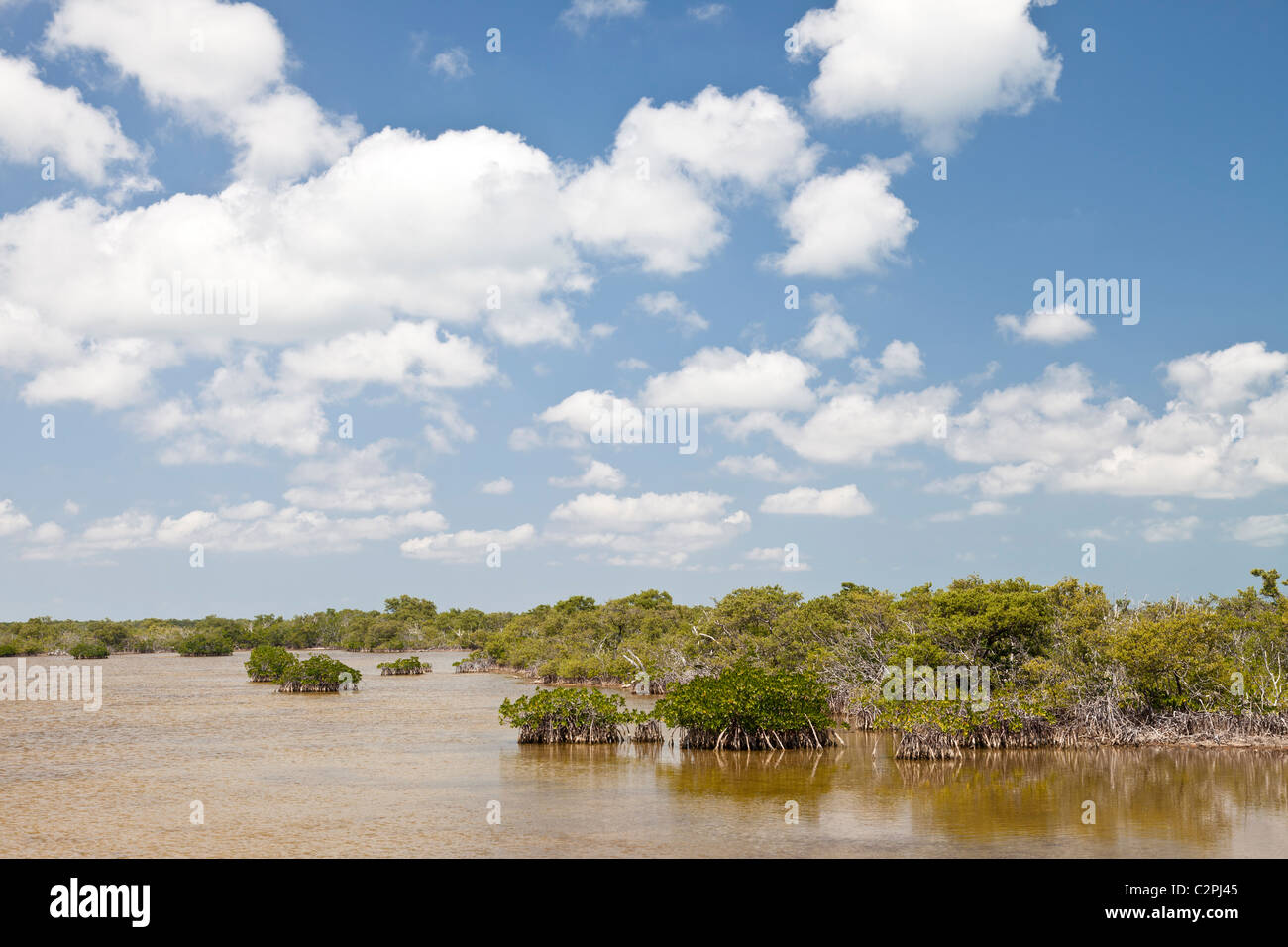 Crocodile lake national wildlife refuge Banque de photographies et d ...