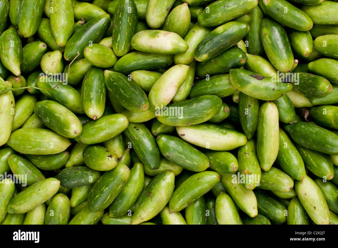 Baby cucumbers Banque de photographies et d’images à haute résolution ...