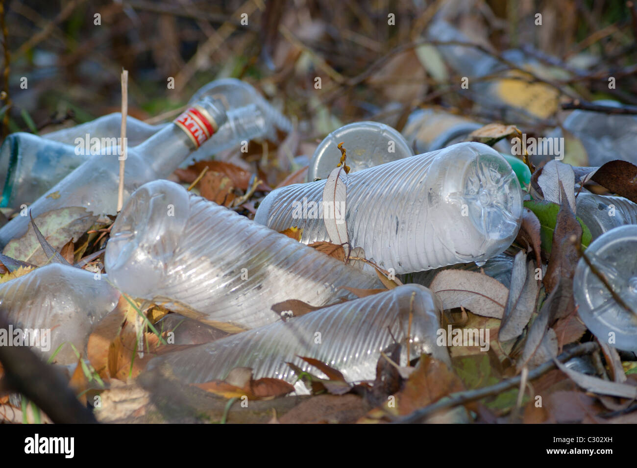 Bouteilles de vodka vides Banque de photographies et d’images à haute ...