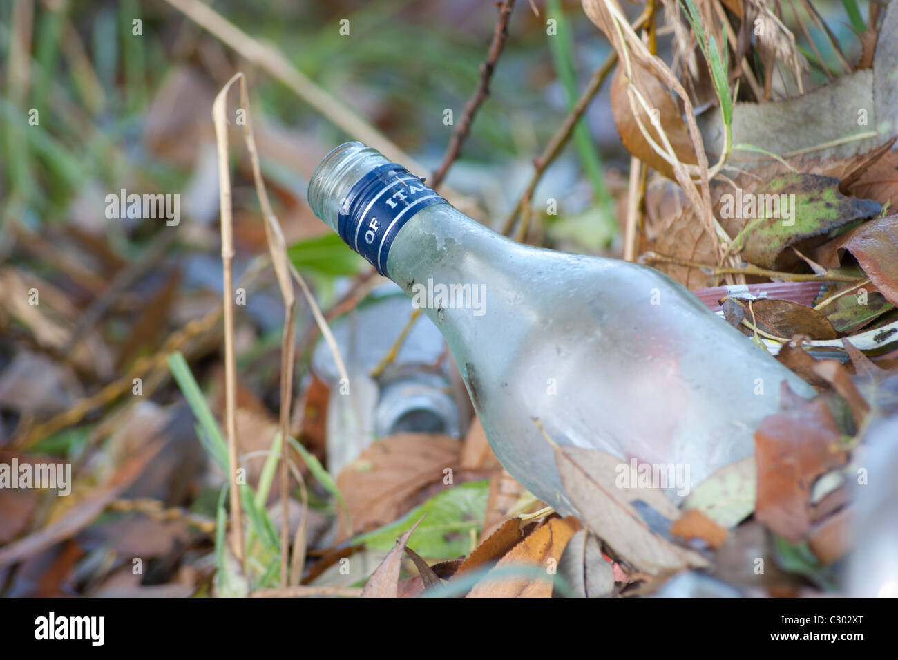 Bouteilles de vodka vides Banque de photographies et d’images à haute ...