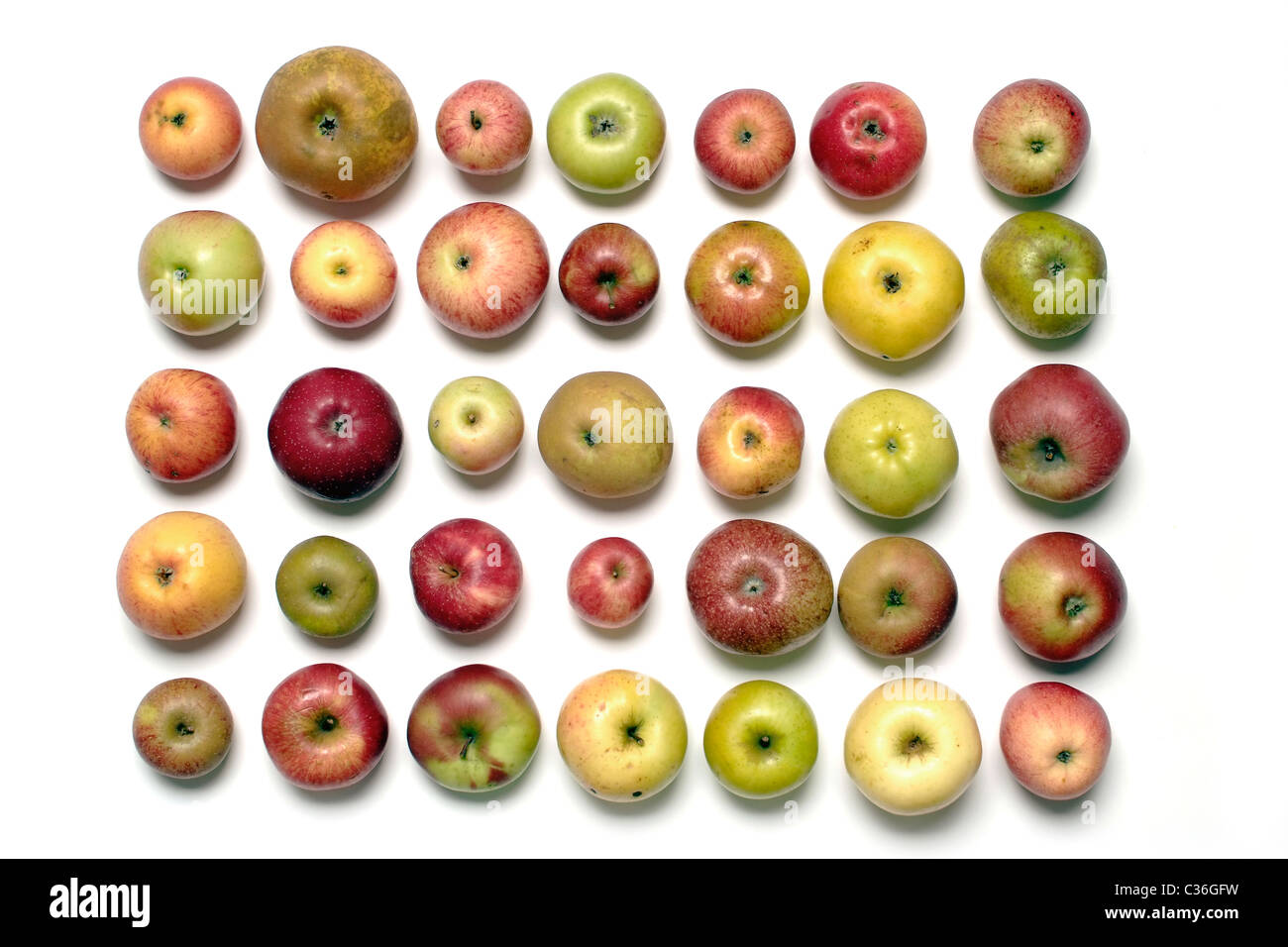 Aperçu des différentes variétés de pommes anciennes Photo Stock - Alamy