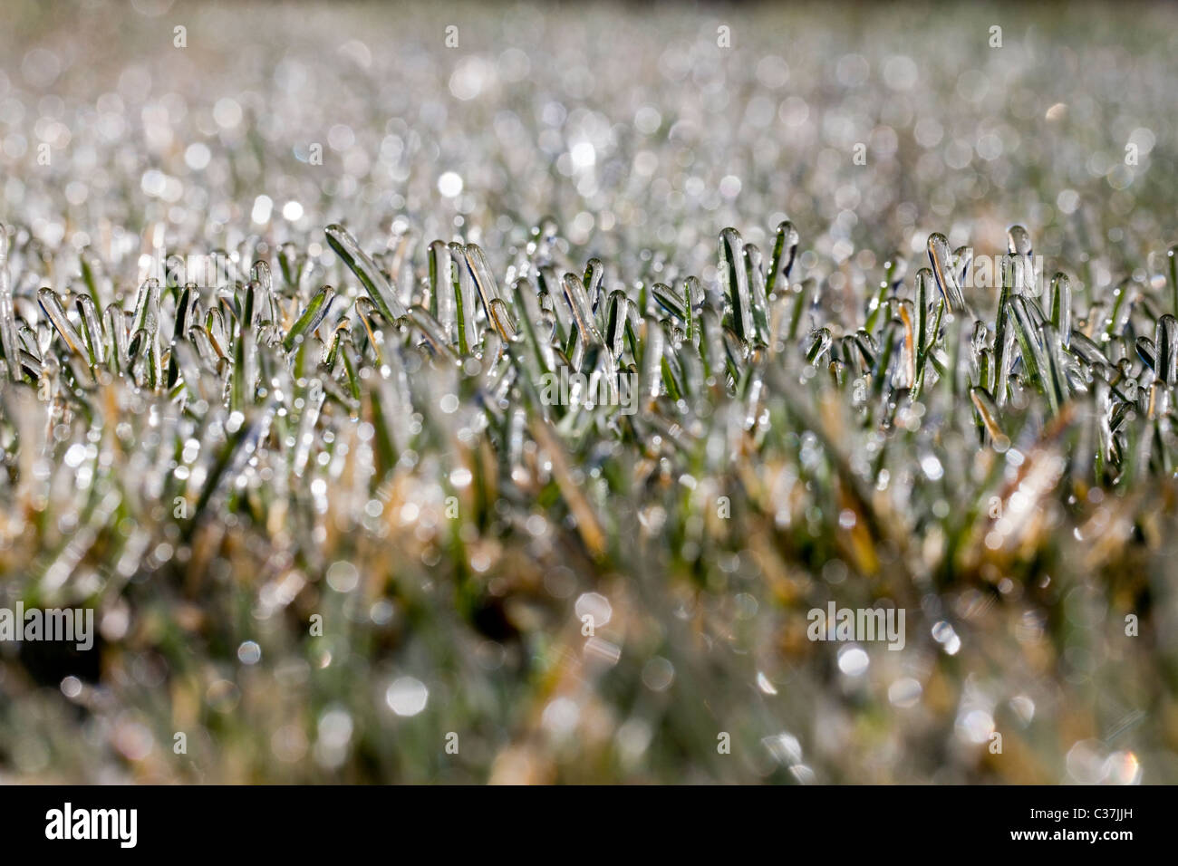 Ice Crystal Banque d'image et photos - Alamy