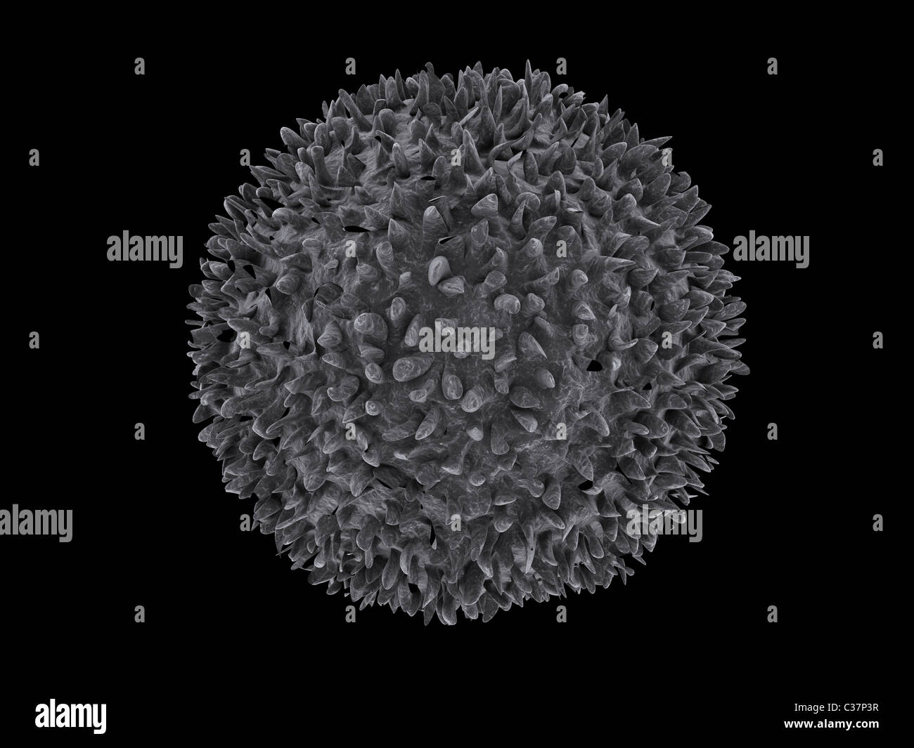 Globule rouge et blanc Banque de photographies et d’images à haute ...