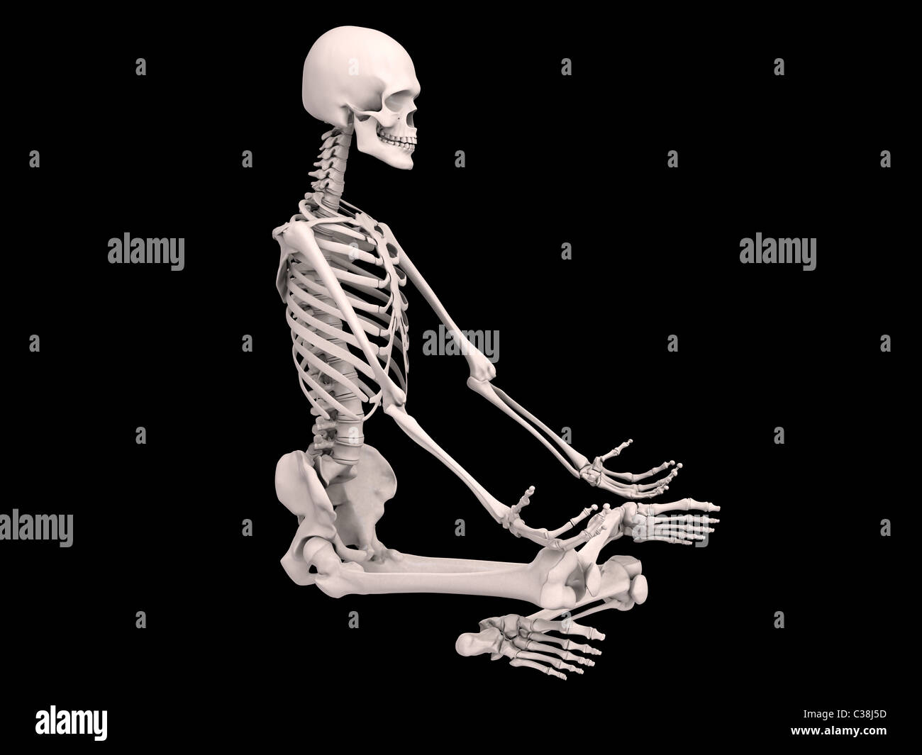 Squelette Humain Assis Banque d'image et photos - Alamy
