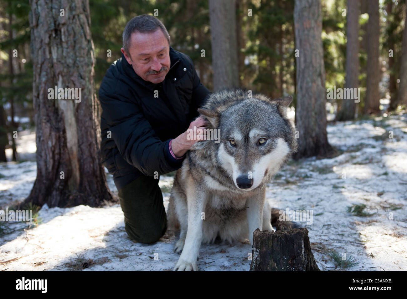 Homme loup Banque de photographies et d’images à haute résolution - Alamy