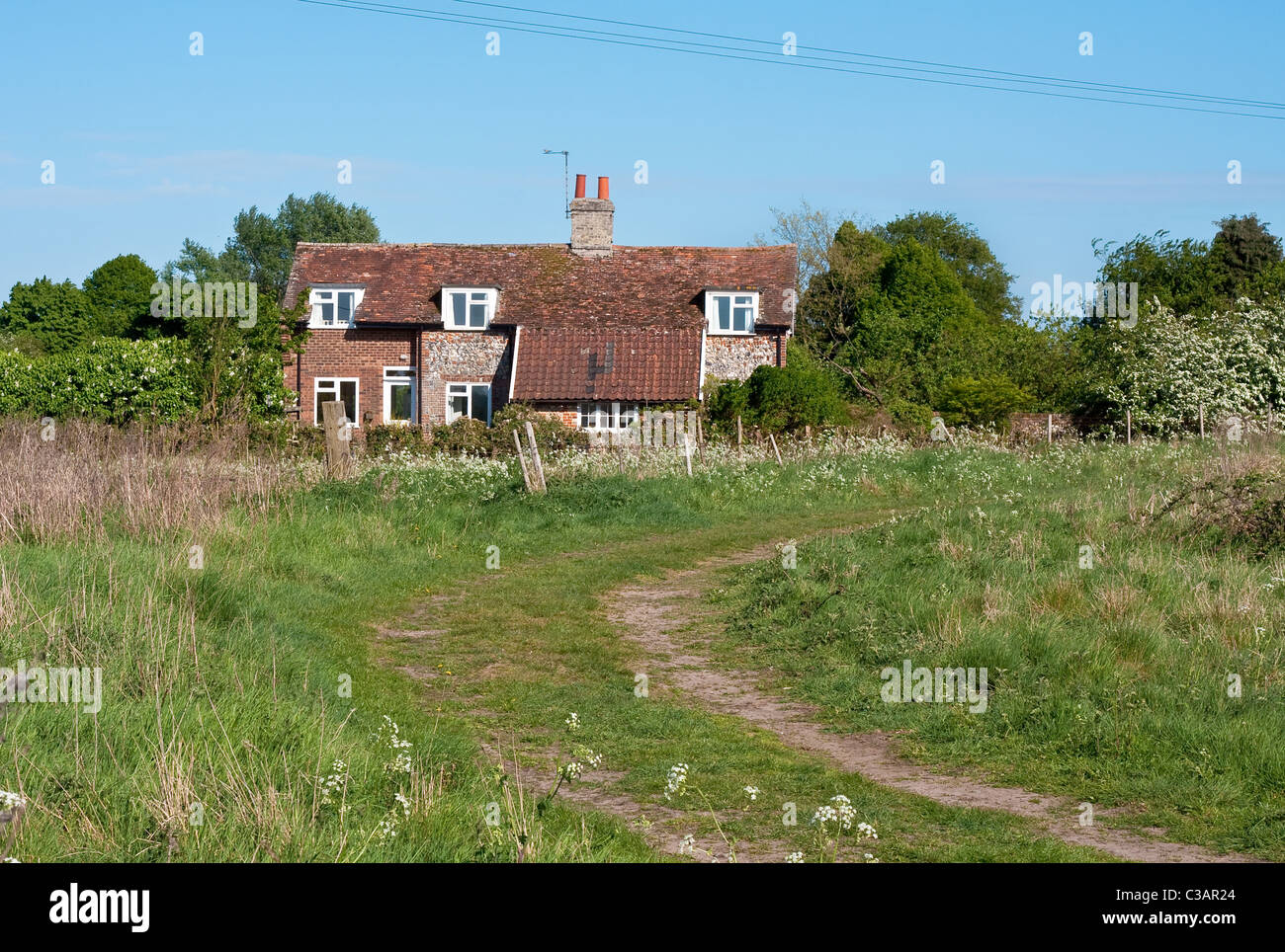 Grand livermere Banque de photographies et d’images à haute résolution ...