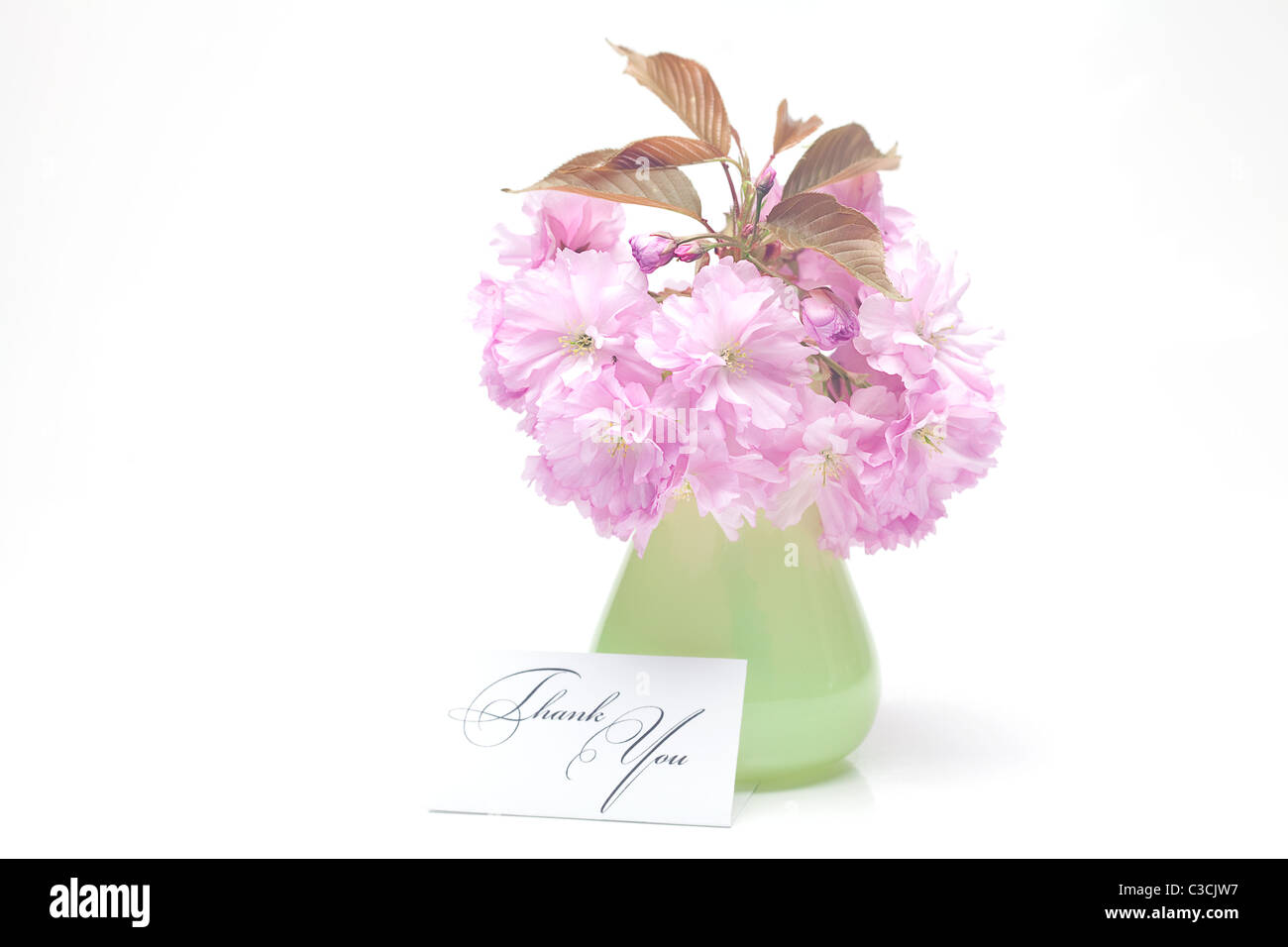 Carte de remerciement avec fleur Banque de photographies et d’images à ...