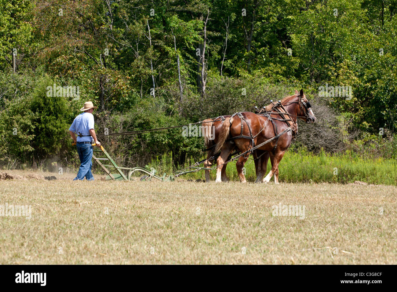 Labour de cheval traditionnel Banque de photographies et d’images à ...