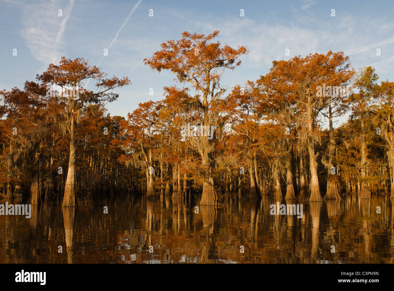 Atchafalaya basin Banque de photographies et d’images à haute ...