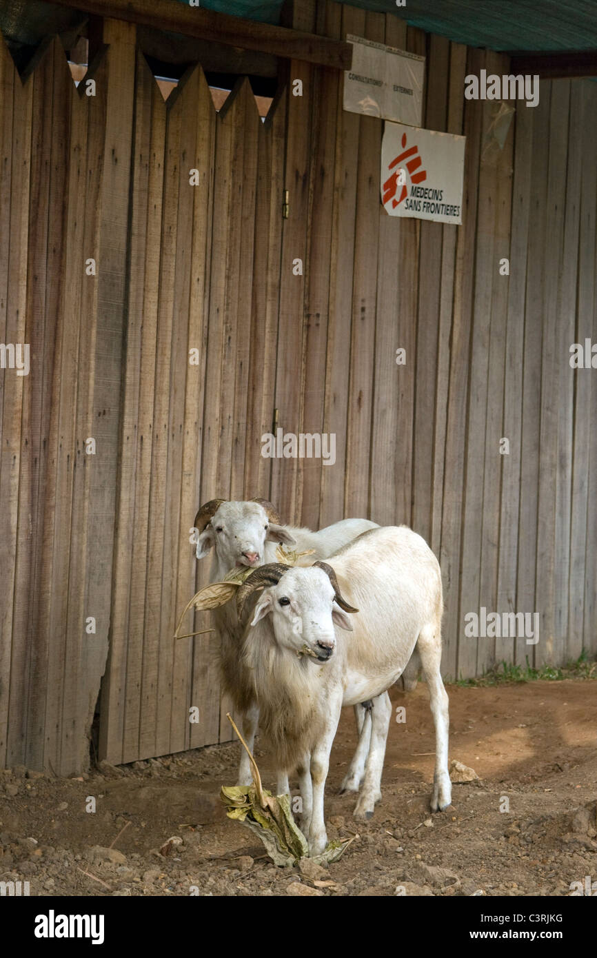 Betou republic of congo Banque de photographies et d’images à haute ...