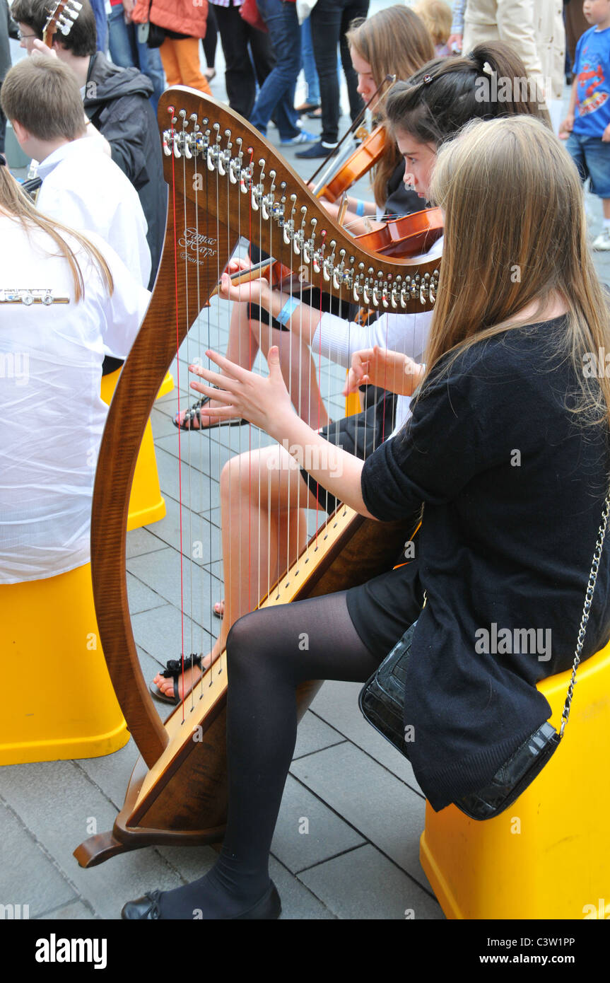 Instrument de musique irlandais Banque de photographies et d’images à ...