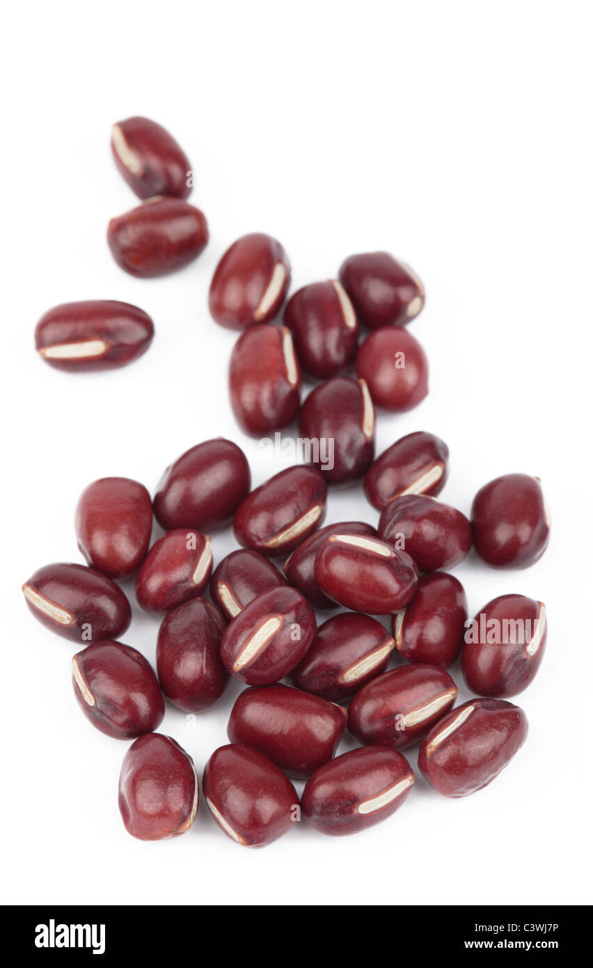 Haricots adzuki aussi azuki ou aduki Banque de photographies et d ...